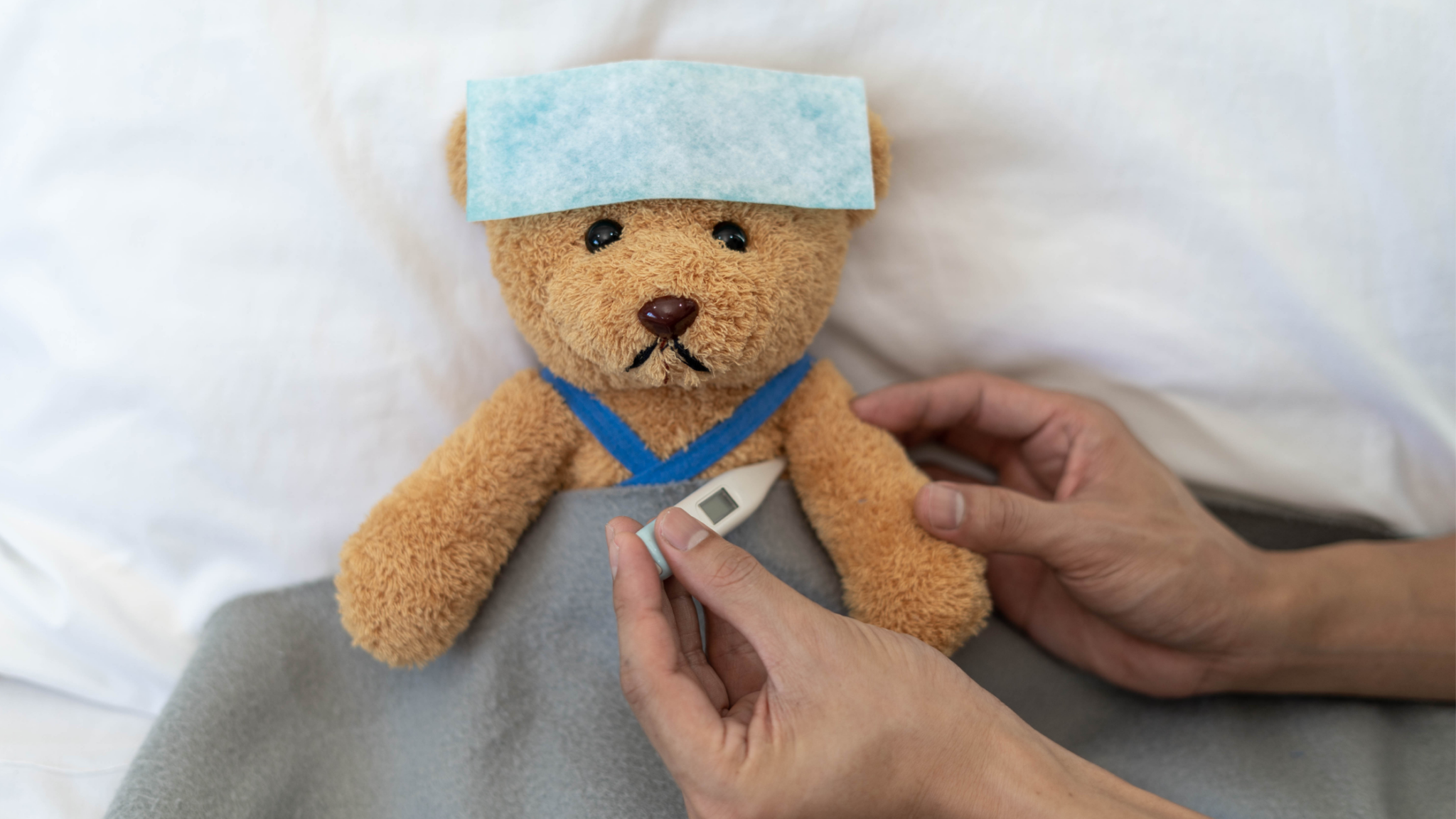 College of Nursing – The University of Tennessee Knoxville